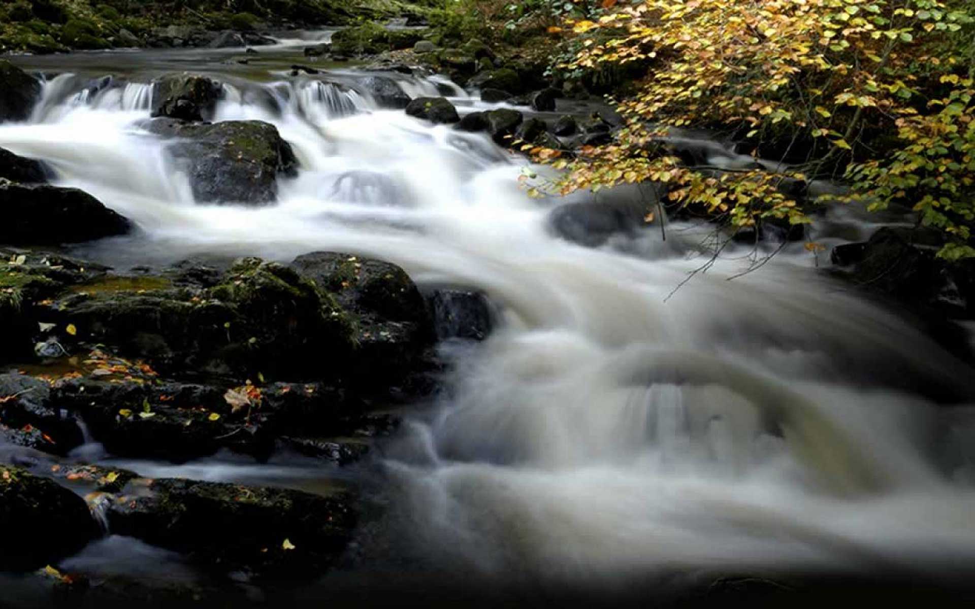 High Range - Aviemore Holiday Complex