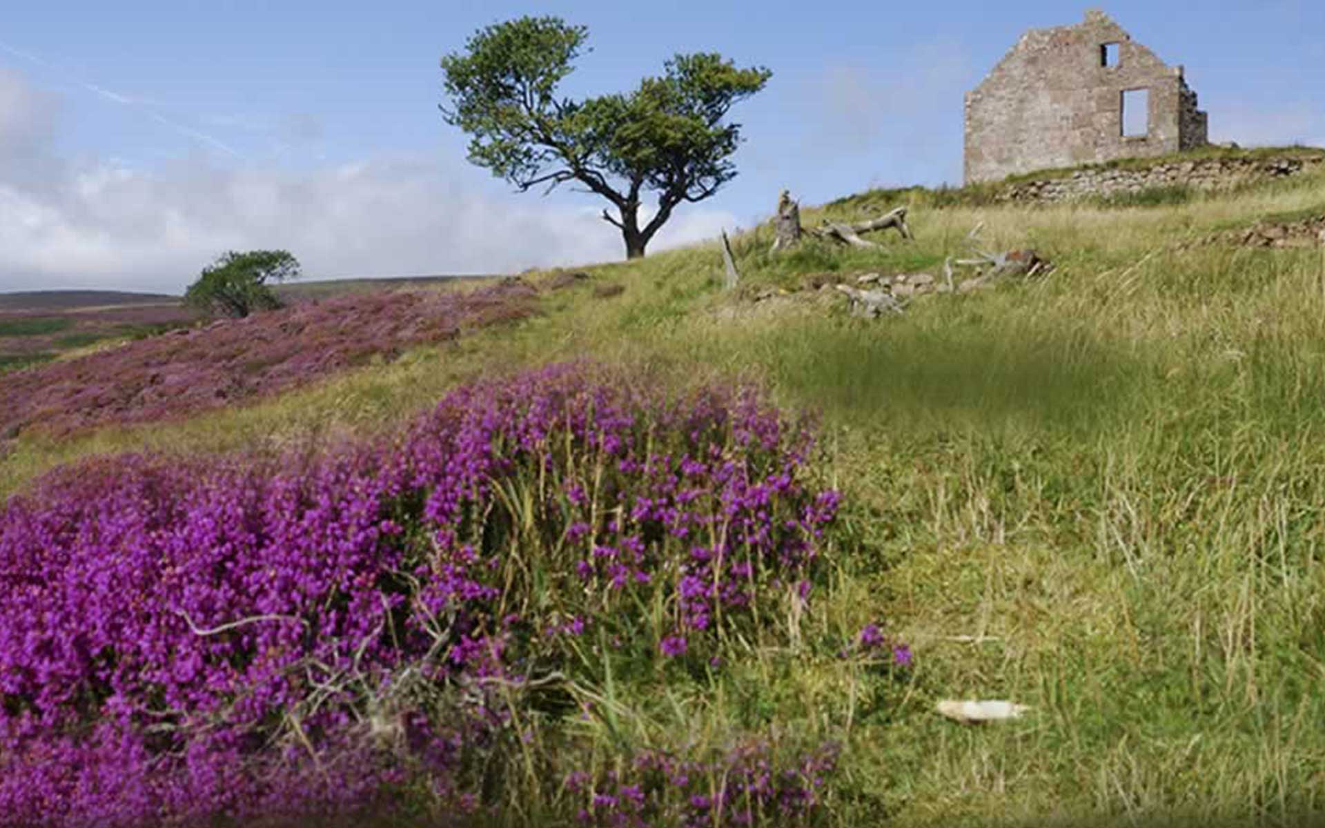 High Range - Aviemore Holiday Complex