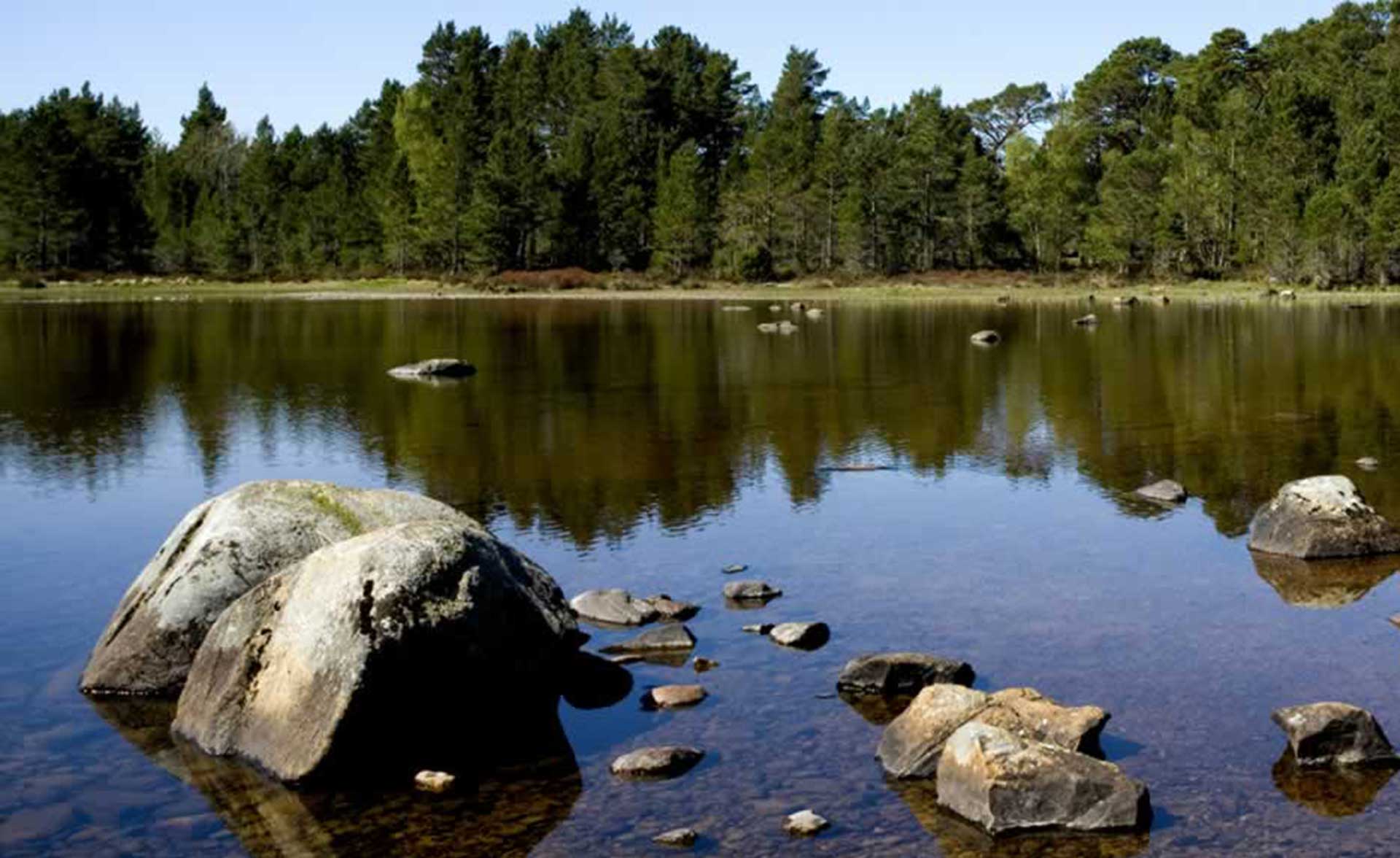 High Range - Aviemore Holiday Complex